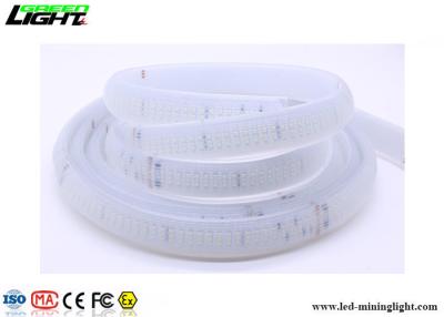 China IP68 DC24V LED Flexible Strip Lights 2000lum 120LEDs/M Explosion Proof for sale