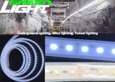 China 1630lm 220V 17W/m Anti-Explosive RGB LED Strip Light SMD2835 IP68 100m for sale