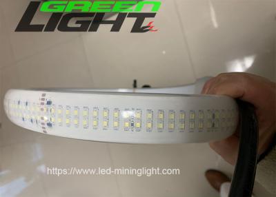 China Double Row Silicone LED Strip Light 2230lm/m DC36V 30W/m SMD5050 144 LEDs IP68 for sale