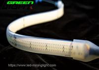 China 3100 Lumen IP68 Waterproof Silicone LED Strip Light 35W/M 6200K for Underground Tunnel for sale