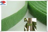 China Green Double Sided Hook and Loop Tape 20mm x 25m Nylon Self Gripping Custom Printed for sale