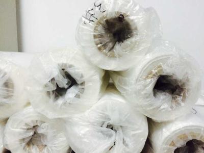 China CACO3 Filler Masterbatch Very Good Strength and Transparency For PE Film CC-35 for sale