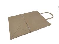 China Kraft-Look Paper Gift Bag with White Script and Leaf Motifs for sale