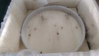 China Interchangeable High Pressure BOP Ring Gasket Sealing Ring Gasket for sale