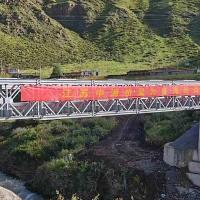 China Painted Light Gray Steel Structure Prefabricated Truss Pedestrian Bridge with 6750 kN.m Moment Capacity and 843.9 kN Shear Strength for sale