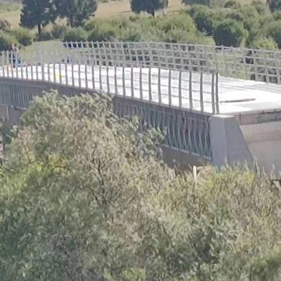 China BS Standard Q355B Steel Structure Bridge - Modular Design with 1034.3 kN.m to 12676.1 kN.m Load Capacity for sale