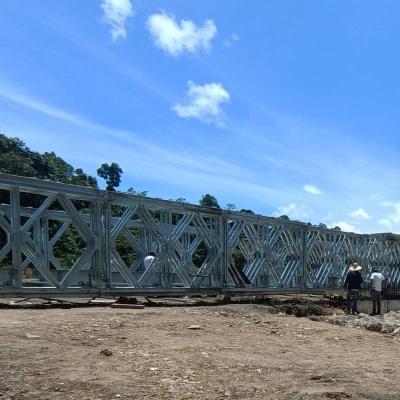 China Steel Skywalk Pedestrian Bridge Single Lane 4.2m Double Lane 7.35m with 90T Load Capacity and 83m Span for sale