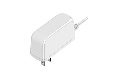 China White 24V 1A 12V 2A Wall Mount Power Supply Adapter with PSE FCC Safety Certification and 50,000 Hour MTBF for sale