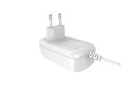 China White / Black Wall Mount Power Adapter With Universal Plug , 24V 0.5A / 12V 1.5A for sale