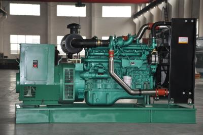 China Self Starting  Yuchai Power Generator With Customization 30-1000KW for sale