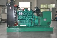 China Self Starting  Yuchai Power Generator With Customization 30-1000KW for sale