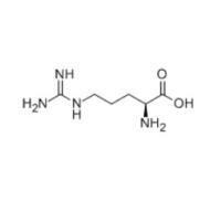 China Biotech Grade L-Arginine Powder CAS 74-79-3 99% Purity 500g/Pk for sale