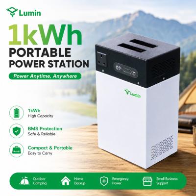 China 1kWh Battery Pack Lightweight Portable High Safety Outdoor Emergency Mobile Power Supply for sale