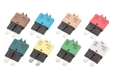 China Recover Car Fuse 5-30A Medium Number Manual Reset Circuit Breaker Insurance Film for sale