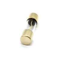 China 5 Installation AGU 60A Fuse For Car Audio Modified Insurance Tube Pipe for sale