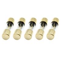 China 5 Installation AGU 60A Fuse For Car Audio Modified Insurance Tube Pipe for sale