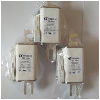 China Rail Transit Electric Vehicles Ship Electricity Ceramic Auto Fuses RS306 690V for sale