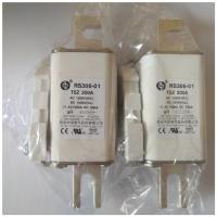 China Rail Transit Electric Vehicles Ship Electricity Ceramic Auto Fuses RS306 690V for sale