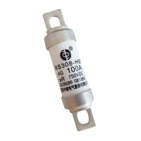 China Bolt Connection Fast Ceramic Auto Fuses RS308-HB 690V Series for sale