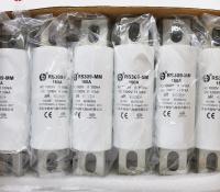 China Round Tube Ceramic Auto Fuses Bolt Connection RS309-MM AC / DC1000V for sale