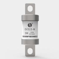 China EV EVS Road Vehicle Round Tube Ceramic Automotive Fuses EV315M-5M Energy fuse auto fuse for sale