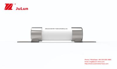 China 1000VDC 10A Electric Vehicle Fuse 16A 20A 25A 40A 50A Automatic Reset Function for sale