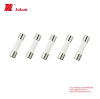 China High Breaking Ceramic Automotive Fuses 0.5A ~ 30A White Color for sale