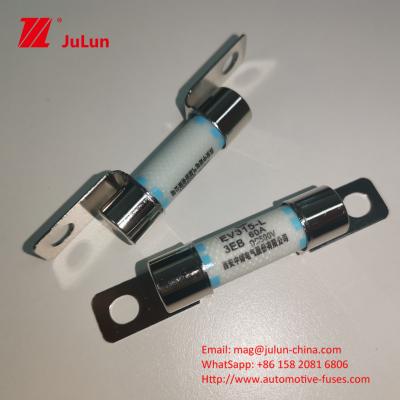 China 10A DC Fast Fuse For Electric Vehicles AR Short Circuit Protection Energy Storage Adaptatio for sale