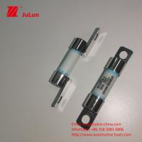 China Short Circuit Protection Electric Vehicle Fuse 40A With Breaking Capacity 3KA Automotive for sale