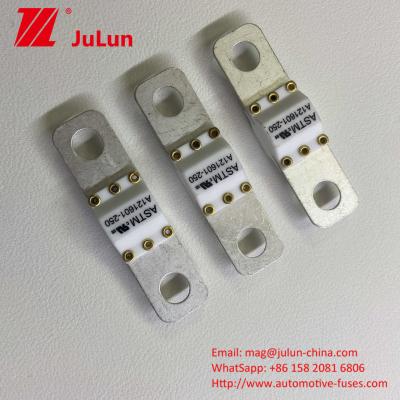 China 350A 125VDC Electric Vehicle Fuse With Breaking Equipment Power Tools Fire Protect for sale