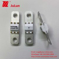 China 100A Portable EV Charger Tools Fire Protection High Break Short Circuit Protection Fuse for sale