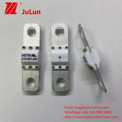 China 100A Portable EV Charger Tools Fire Protection High Break Short Circuit Protection Fuse for sale