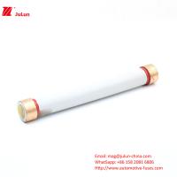 China Durable High Voltage Fuse 24KV Protected Object Voltage Transformer for sale