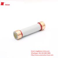 China Durable High Voltage Fuse 24KV Protected Object Voltage Transformer for sale