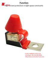 China 300A Marine Rated Battery Fuse Waterproof 58v Excellent Conductive Terminals for sale