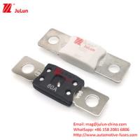 China 30A-500A Small Medium Large Fork Bolt Car Fuse  Small Medium Large for sale