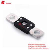 China 30A-500A Small Medium Large Fork Bolt Car Fuse  Small Medium Large for sale