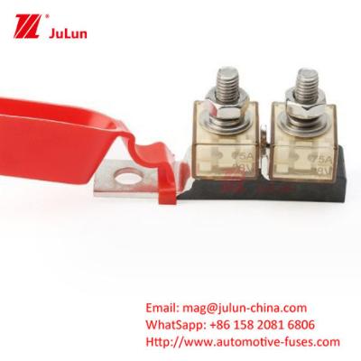 China 2-Position Terminal Fuse Holder Single Stud M8 Compact Rated Battery Fuse 60A-300A for sale