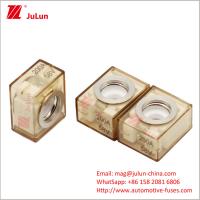 China Waterproof Electric Vehicle Fuse With Safety Voltage for sale