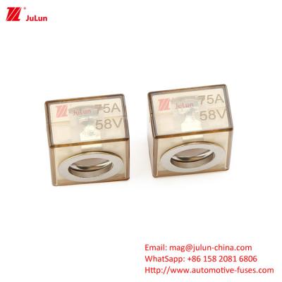 China Truck New Energy Car RV Yacht Battery Large Current Fuse 500A Battery Guarantee Fuse Holder for sale