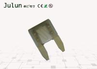China 58 VDC 2 Amp Small Automotive Blade Fuses Ag Plated Zinc Alloy Terminals for sale