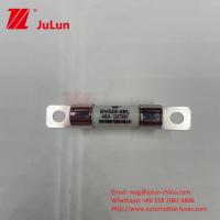 China Protection EV Electric Vehicle Fuse Power Conversion 15A 30A 25A 750VDC 10x38 EV FUSE for sale