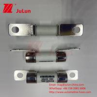 China DC750V 10A-100A Boxed EV Fuse For Electric Vehicle Traction System Energy Storage 25A 30A 50A EV FUSE for sale