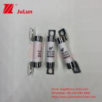 China Electric Vehicle Bolted Fuse Assembly Compliant  Energy Storage EV Fuse 40A Features Bolted Construction Specifically for sale