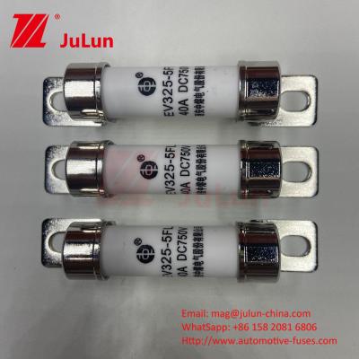 China Automotive Battery Charger For Electric Vehicles ISO Certified Power Conversion 15A 30A 25A 750VDC 14x51 50A EV FUSE for sale