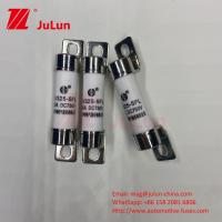 China 20KA Breaking Capacity Ceramic Vehicle FusesEV FUSE Environment Reliability Conform To ISO8820, JASO D622 And GB/T3 for sale