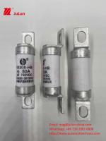 China EV Electric Vehicle Fuse For DC750V FUSE DC750V 10A 15A 20A 25A 30A For Automobile Application RS308 for sale