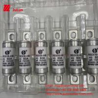 China EV Electric Vehicle Fuse For DC750V FUSE DC750V 10A 15A 20A 25A 30A For Automobile Application RS308 for sale