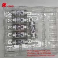 China Electric Vehicle Fuse RS308 DC750V 10A 15A 20A With Excellent Resistant To Vibration 63A for sale