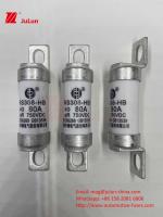 China Electric Vehicle Fuse RS308 DC750V 10A 15A 20A With Excellent Resistant To Vibration 63A for sale